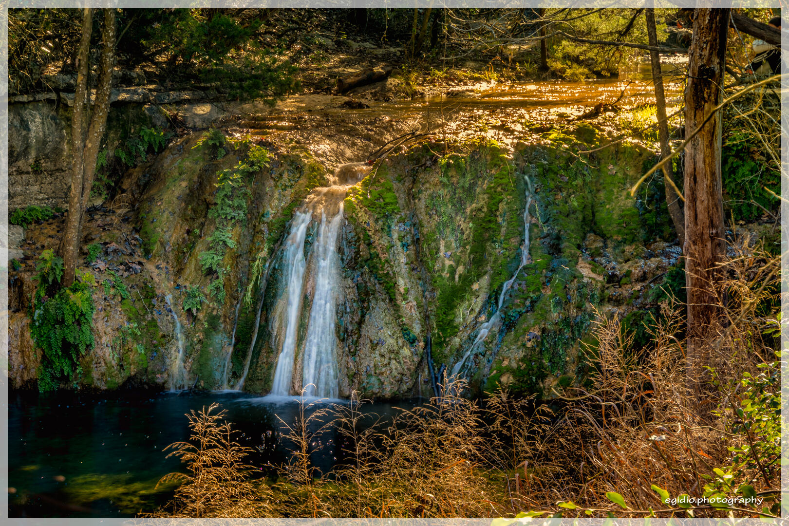Wild Basin Wilderness Preserve – Through Brazilian Eyes